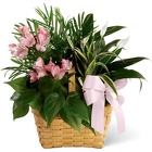 FTD & Teleflora Flowers & Gifts